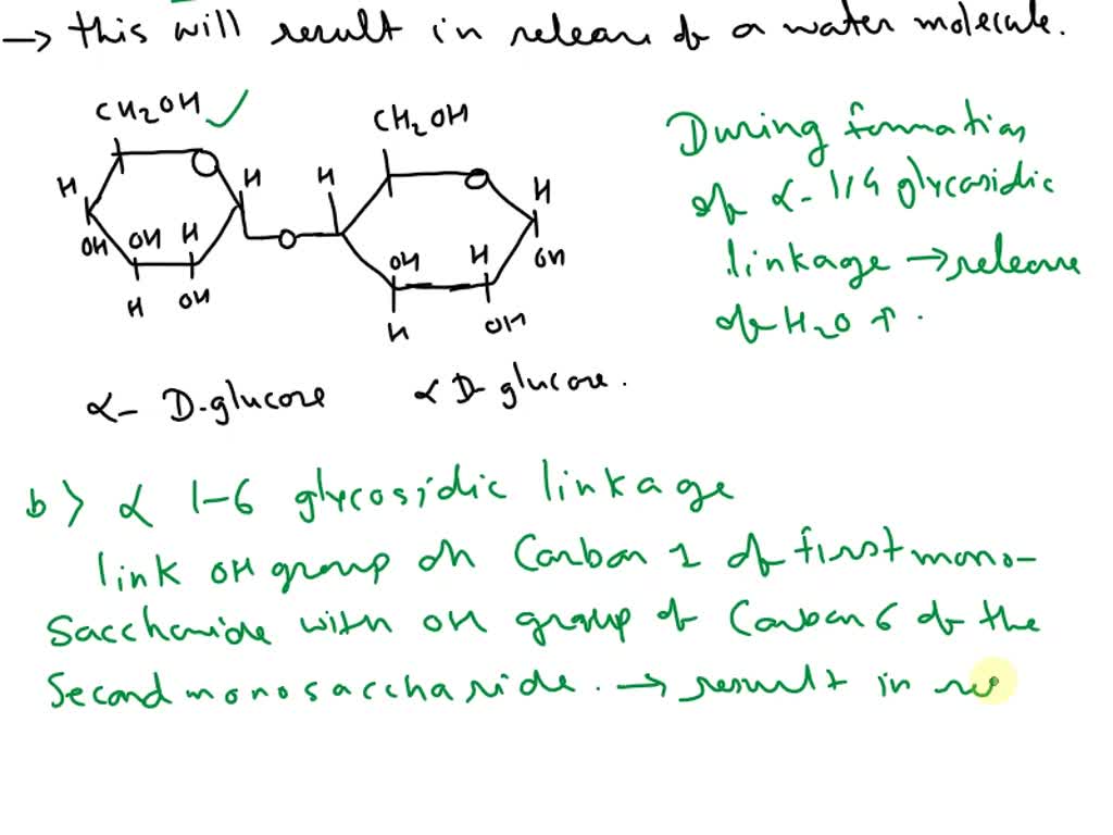 SOLVED: (3a) Assuming that you started with the molecules of the ...