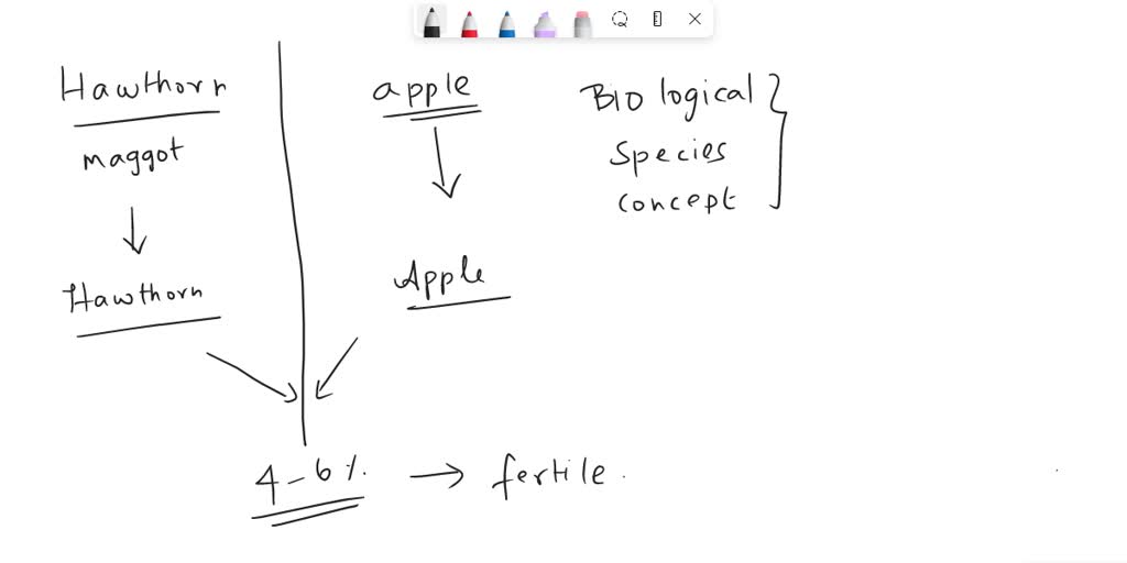 SOLVED: The original habitat of the North American maggot fly ...