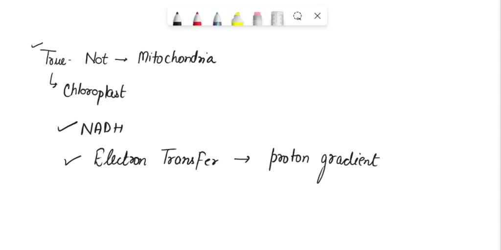 SOLVED: Which ofthe following statements is true of BOTH chloroplasts ... SOLVED: Which ofthe following statements is true of BOTH chloroplasts ...