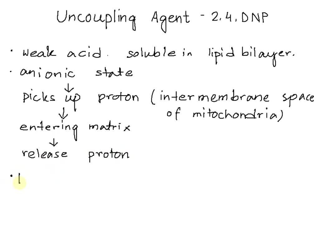 SOLVED: DNP is referred to as an electron transport chain (ETC ...