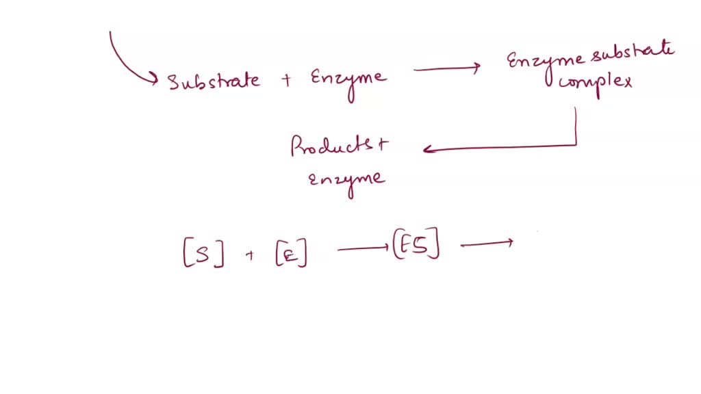 SOLVED: Understand the following enzymatic terms: substrate, enzyme ... SOLVED: Understand the following enzymatic terms: substrate, enzyme ...