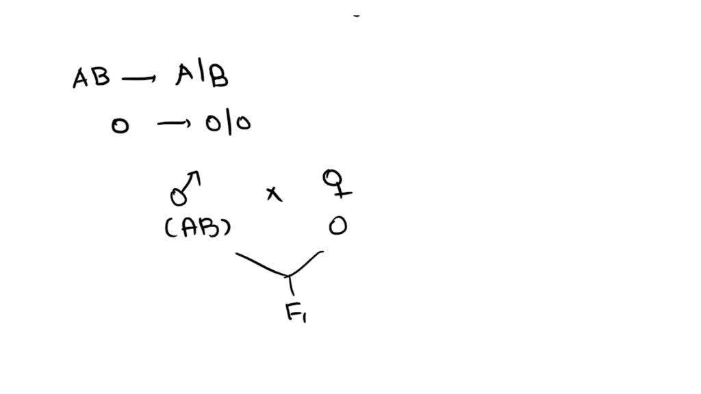 SOLVED: Punnett Square Practice (ABO Blood Groups) Practice Problem #1 ...