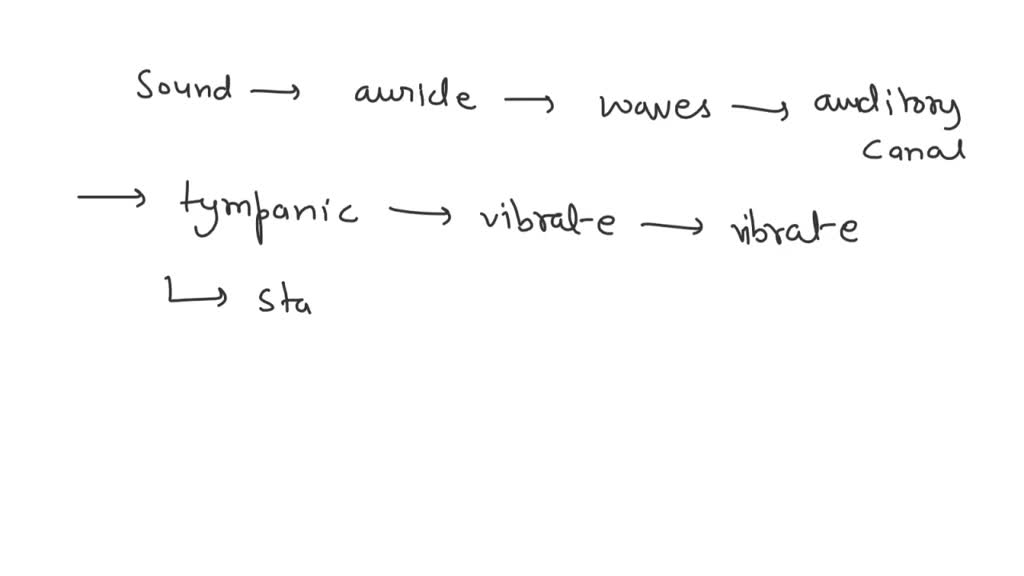 SOLVED: The correct sequence of events that describes how sound waves ...