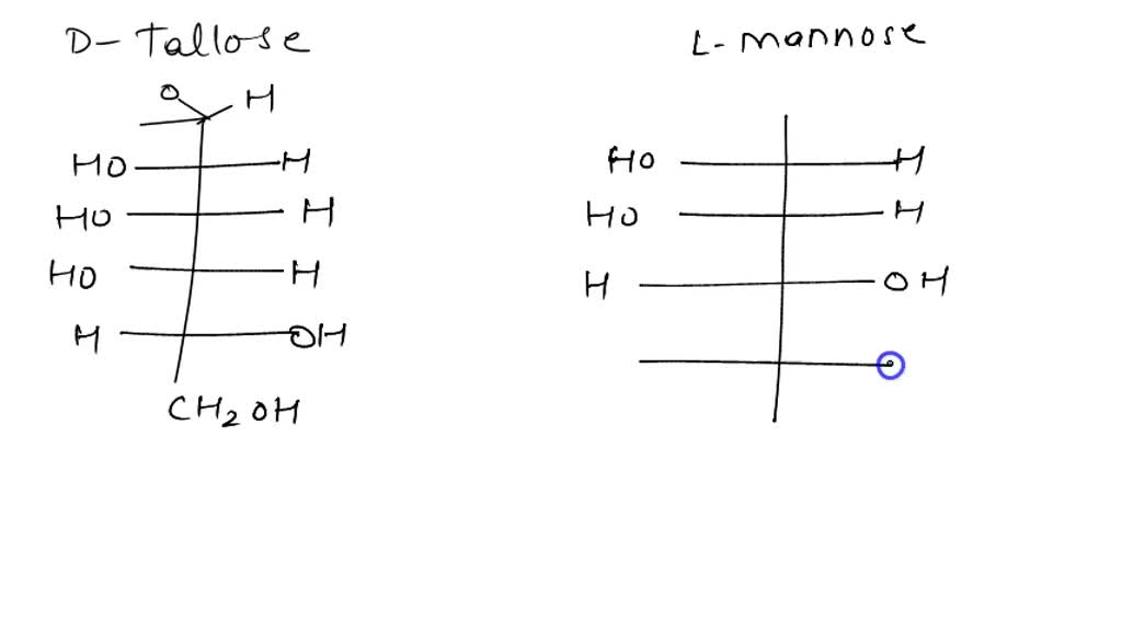 SOLVED: Talose is the C4 epimer of mannose. Draw the chair conformation ...