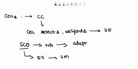 SOLVED: Consider cell communication. What two types of cells and two ...