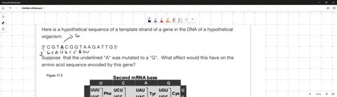 Specifically explain and show complete protein what the...