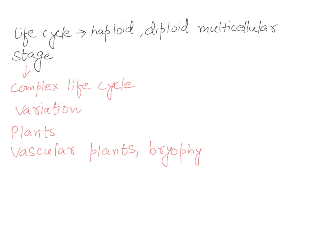 SOLVED: Which type of life cycle has both a haploid and diploid ...