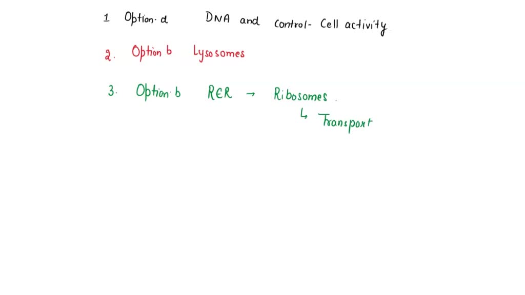 SOLVED: The function of the nucleus iS cell respiration protein synthesis synthesis of carbon ...