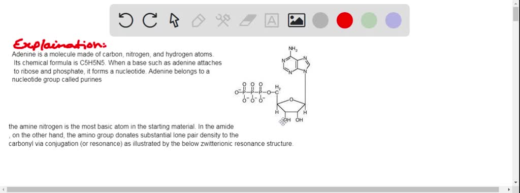 SOLVED: Look up and draw the structure of adenine, a heterocyclic ...