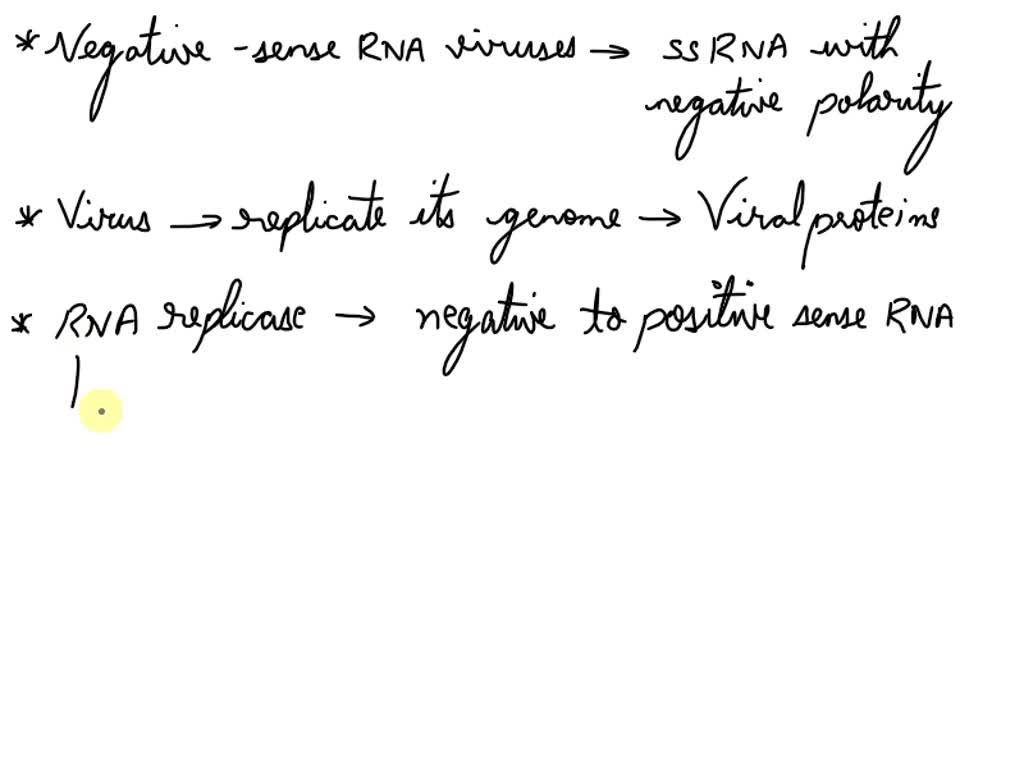 SOLVED: Describe in detail how negative-strand RNA viruses replicate ...