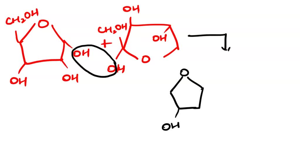 SOLVED: Draw the disaccharide, -D-ribose-(1,2)- a-D-fructose: Is it a ...