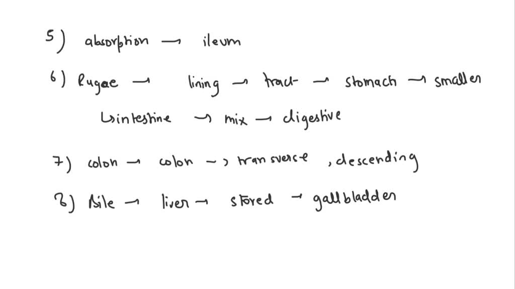 SOLVED: 1. Begins at the pyloric valve and ends where the intestine ...