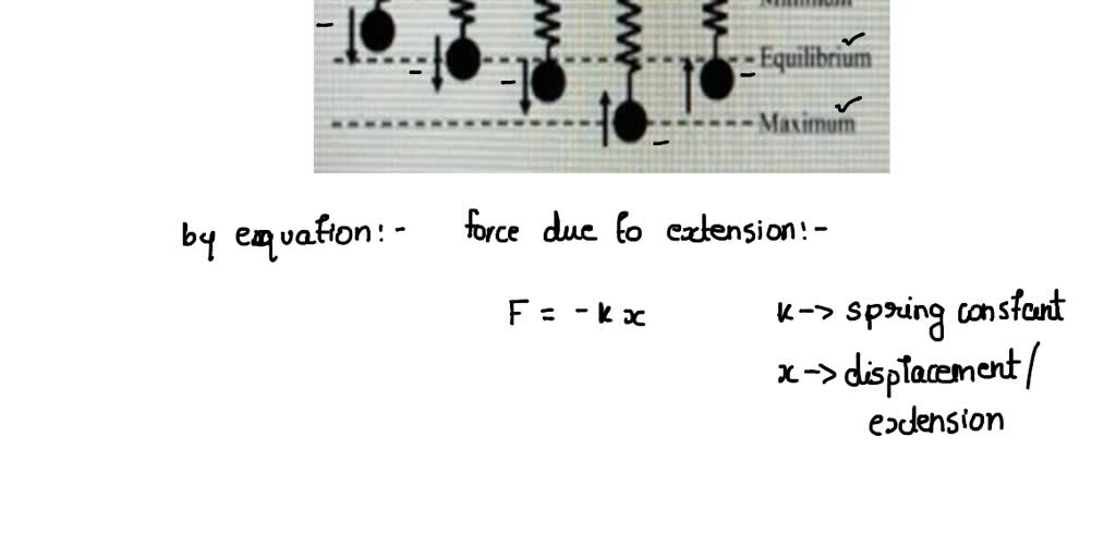 SOLVED: A body on spring is vibrating in simple harmonic motion about ...