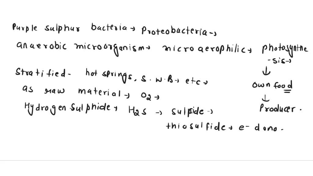 SOLVED: Purple sulfur bacteria have a photosynthetic system comparable ...