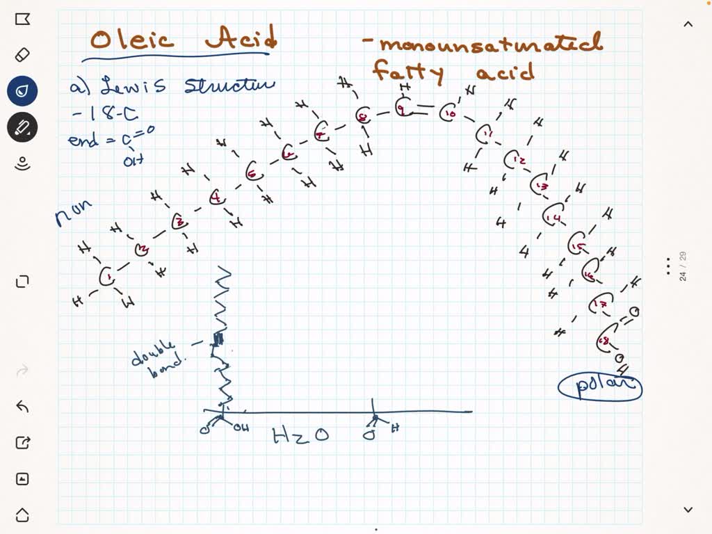 Oleic Acid Lewis Structure