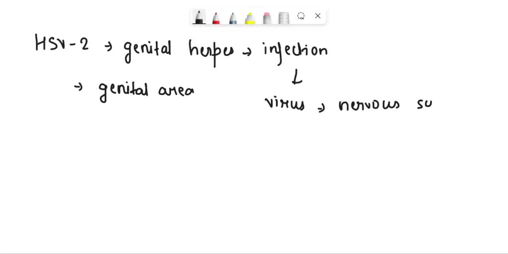 SOLVED: Where does a genital infection of HSV-2 go latent? - trigeminal ...