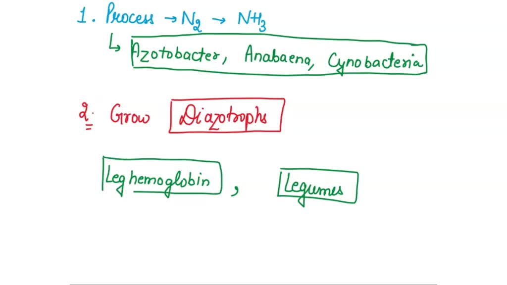 SOLVED: 1. The process that converts atmospheric nitrogen (Nz) into ...