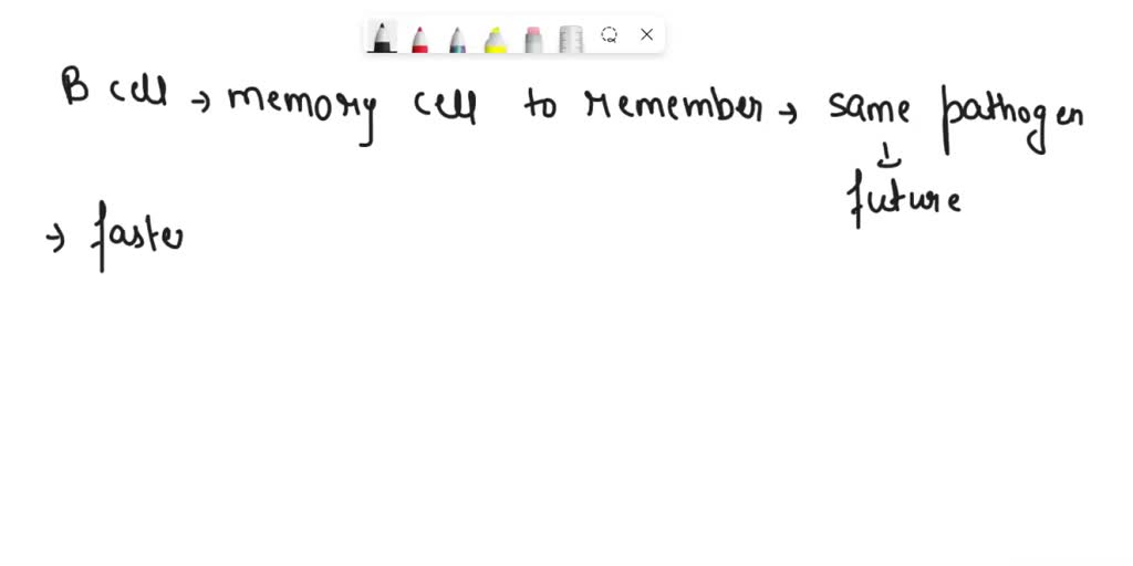 SOLVED: What leukocyte differentiates into memory cells? A. B cells B ...