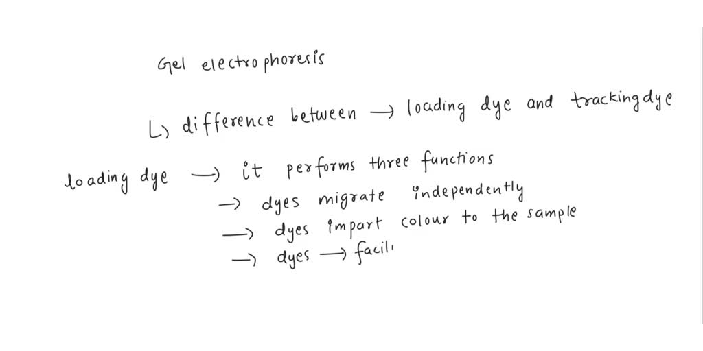 SOLVED: Gel electrophoresis question. What is the difference between ...