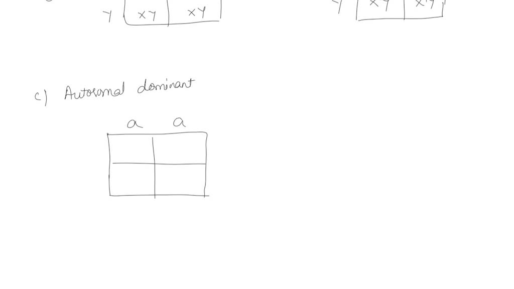 SOLVED: Text: III: Given the following pedigree below, use Punnett ...