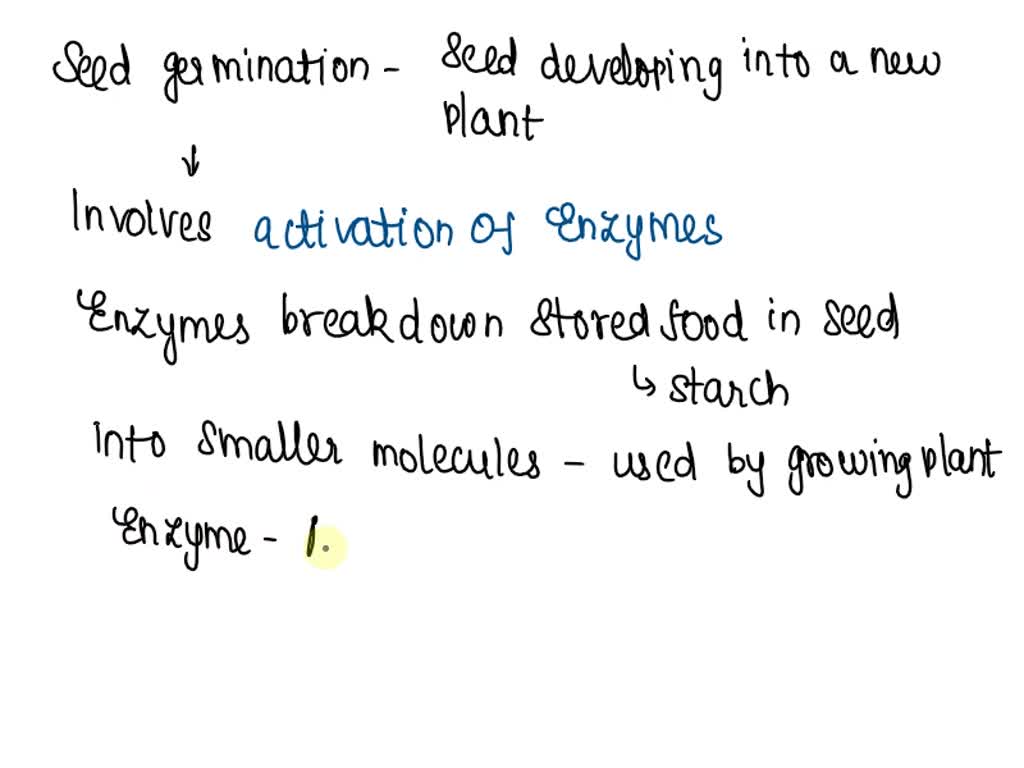 SOLVED: the role of enzymes in seed germination