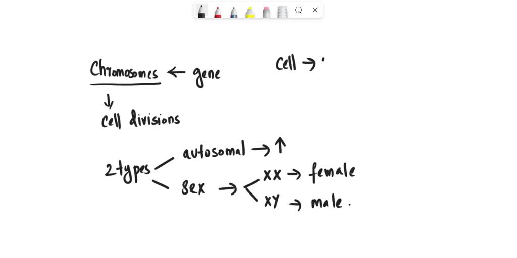 SOLVED: What is the chromosome composition of a normal human male? 44 ...