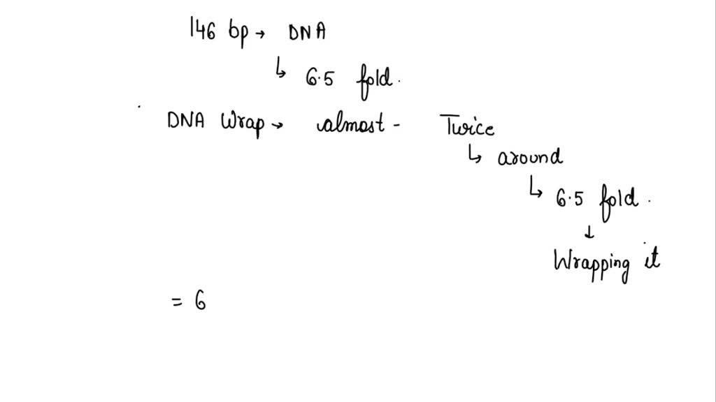 SOLVED: Given the observation that 146 bp of DNA is packaged 6.5 fold ...