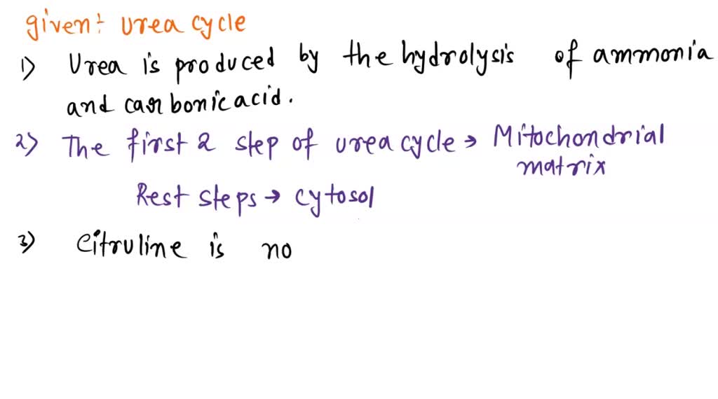 SOLVED: QUESTION 34 Which of the following statements about the urea ...