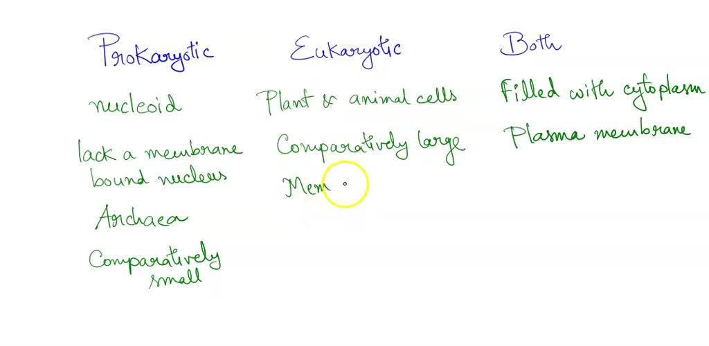 SOLVED: Prokaryotes and eukaryotes Categorize the following as ... SOLVED: Prokaryotes and eukaryotes Categorize the following as ...