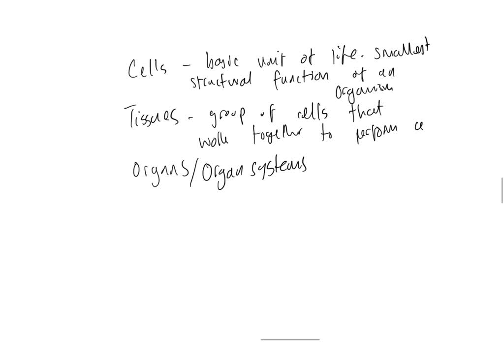 SOLVED: Complete the following exercises, writing clearly and legibly as possible. Exercise 1 ...