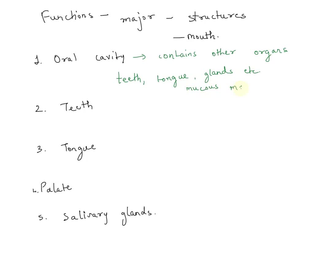 SOLVED Describe The Functions Of The Structures Associated With The Mouth SOLVED Describe The Functions Of The Structures Associated With The Mouth