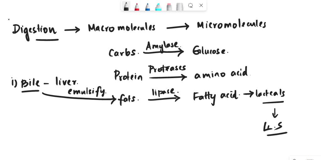 SOLVED: Describe the following as they pertain to the functions of bile ...