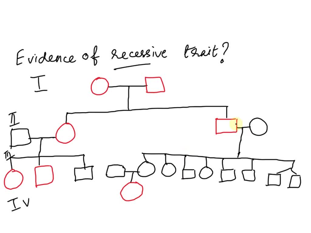 SOLVED: 'The pedigree chart below shows the individuals in the family ...