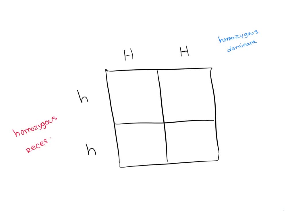 SOLVED: 2. Hornless (H) in cattle is dominant over horned (h). A ...