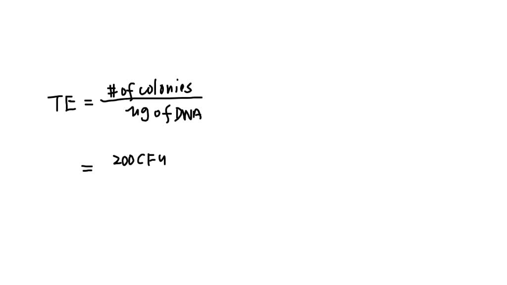Calculate The Transformation Efficiency In Cfu μg If You Transformed 50