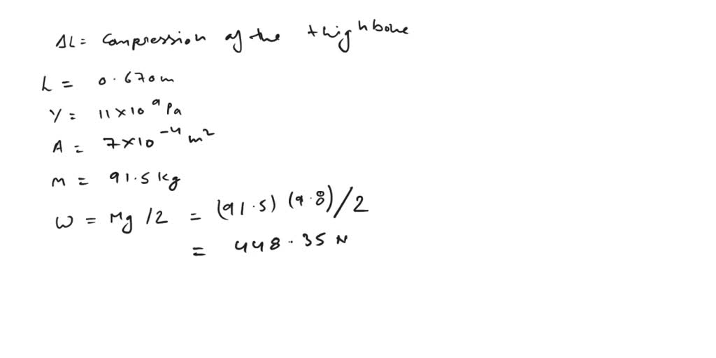 SOLVED: A 91 kg man's thighbone has a relaxed length of 0.50 m, a cross ...