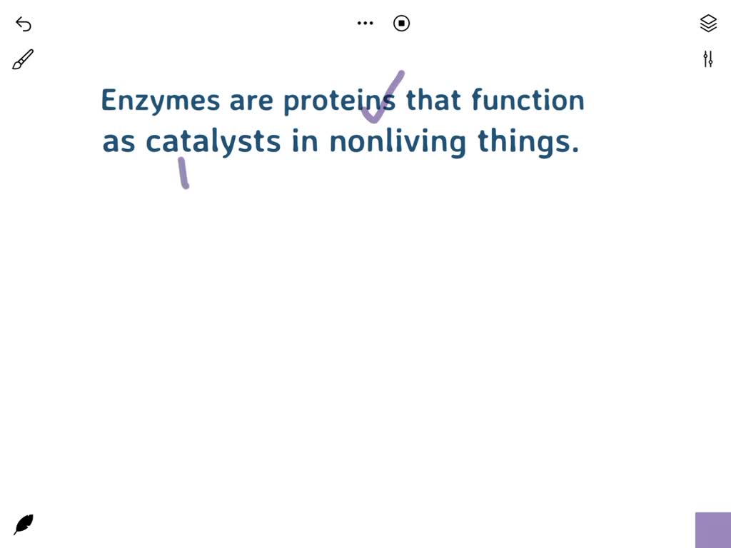 Solved Which Statement About Enzymes Is True An Enzyme Functions To
