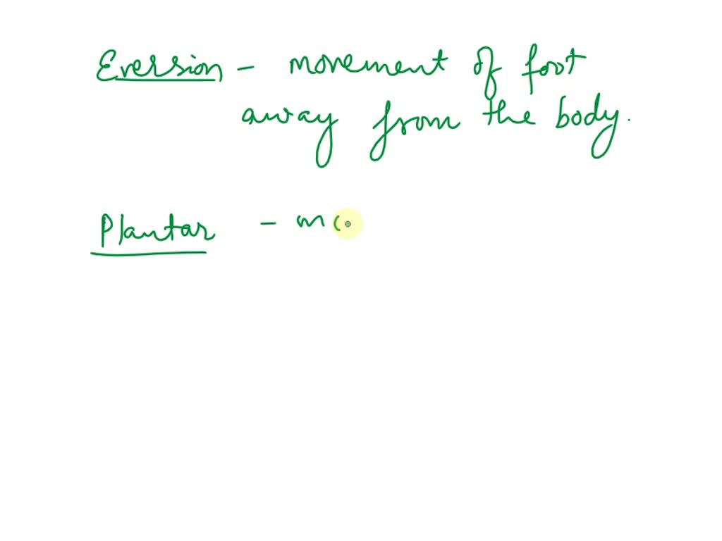 SOLVED: Which of the following compartments of the upper limb in the ...