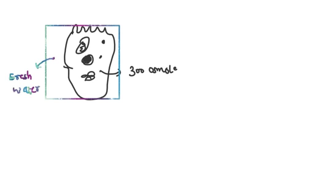 SOLVED: An animal cell that is surrounded by fresh water will burst ...