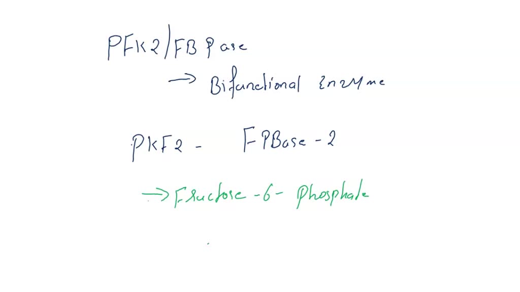 SOLVED: The bifunctional enzyme PFK2/FBPase-2 is regulated by ...