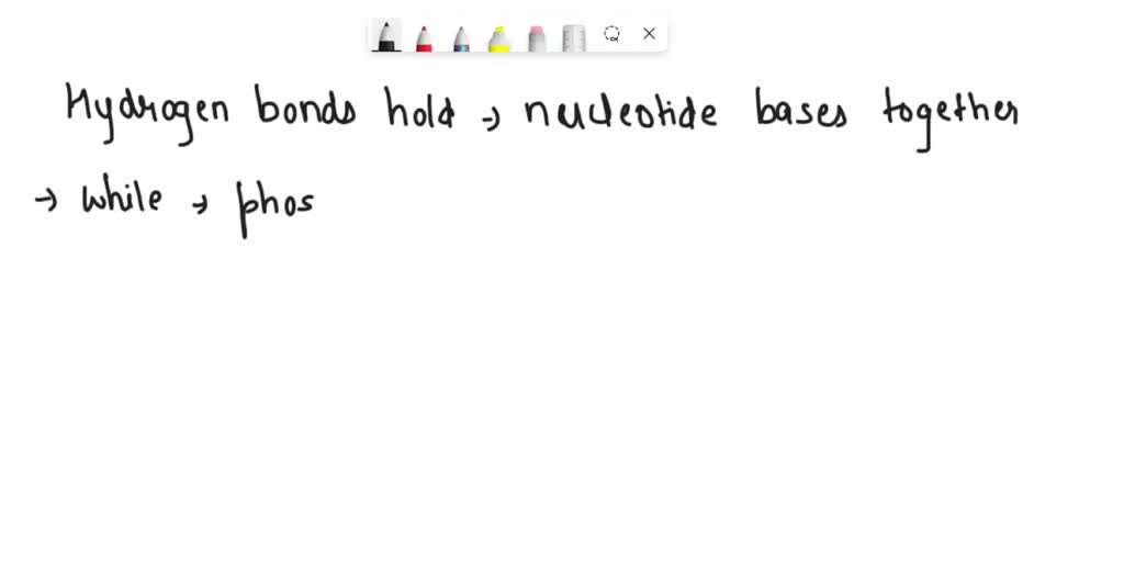 SOLVED: What holds the nucleotides together in DNA? Phosphate group ...
