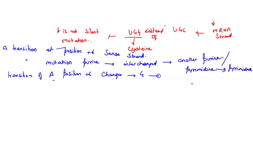 SOLVED: Use the DNA Mutations Interactive to determine which of the following are missense ...