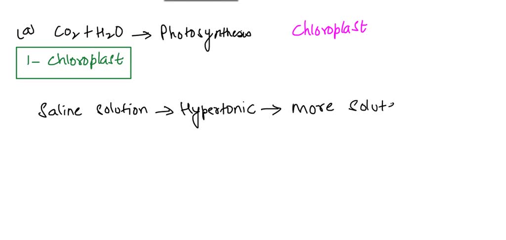 SOLVED: Diffusion and Osmosis: Plasmolysis in Elodea Leaf in 10% Saline ...
