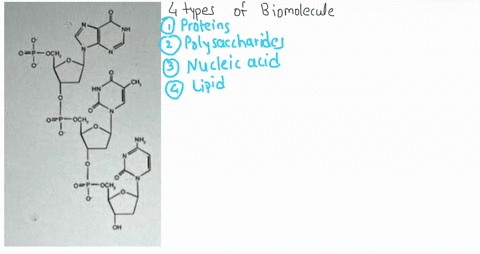 Albuterol a what is the iupac name of your molecule b where...