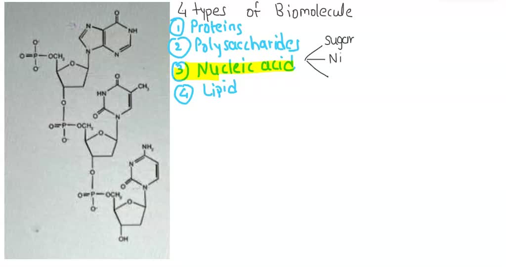 VIDEO solution: Answer the following questions about the molecule shown ...