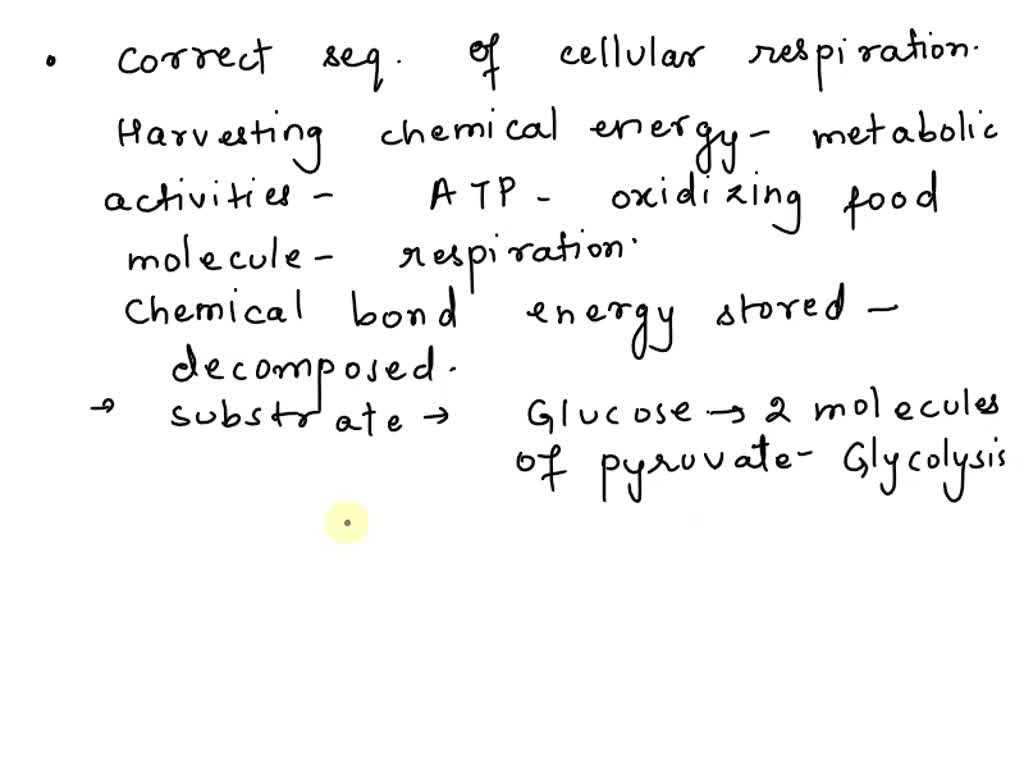SOLVED: 30 The correct sequence for aerobic metabolic breakdown of ...