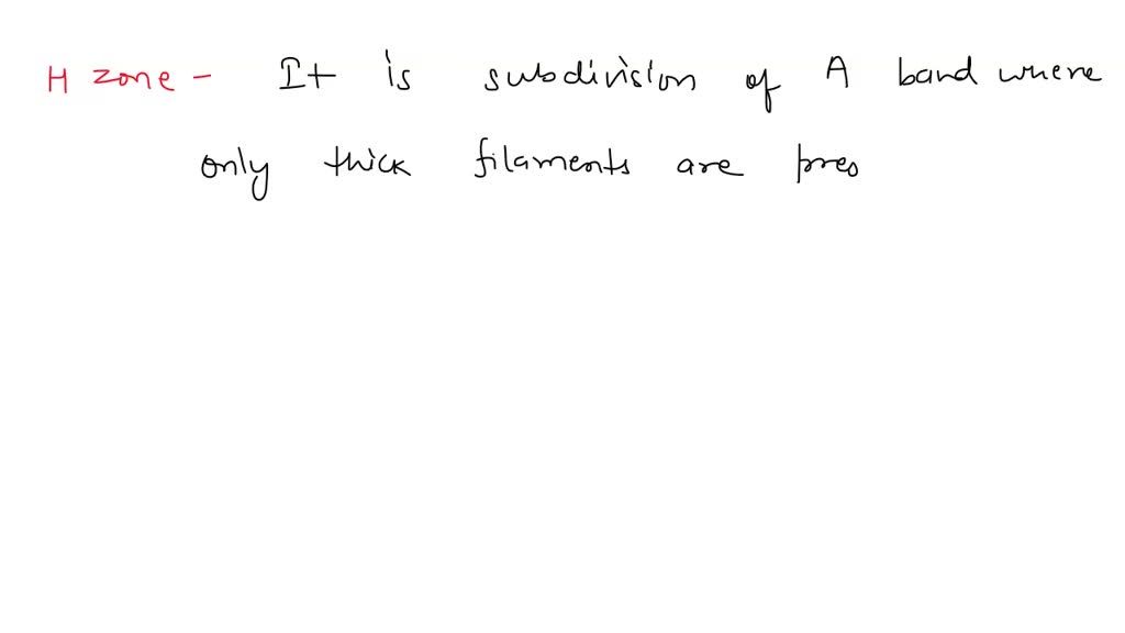SOLVED: Define the terms: A band, I band, H zone, M line, and Z line or ...