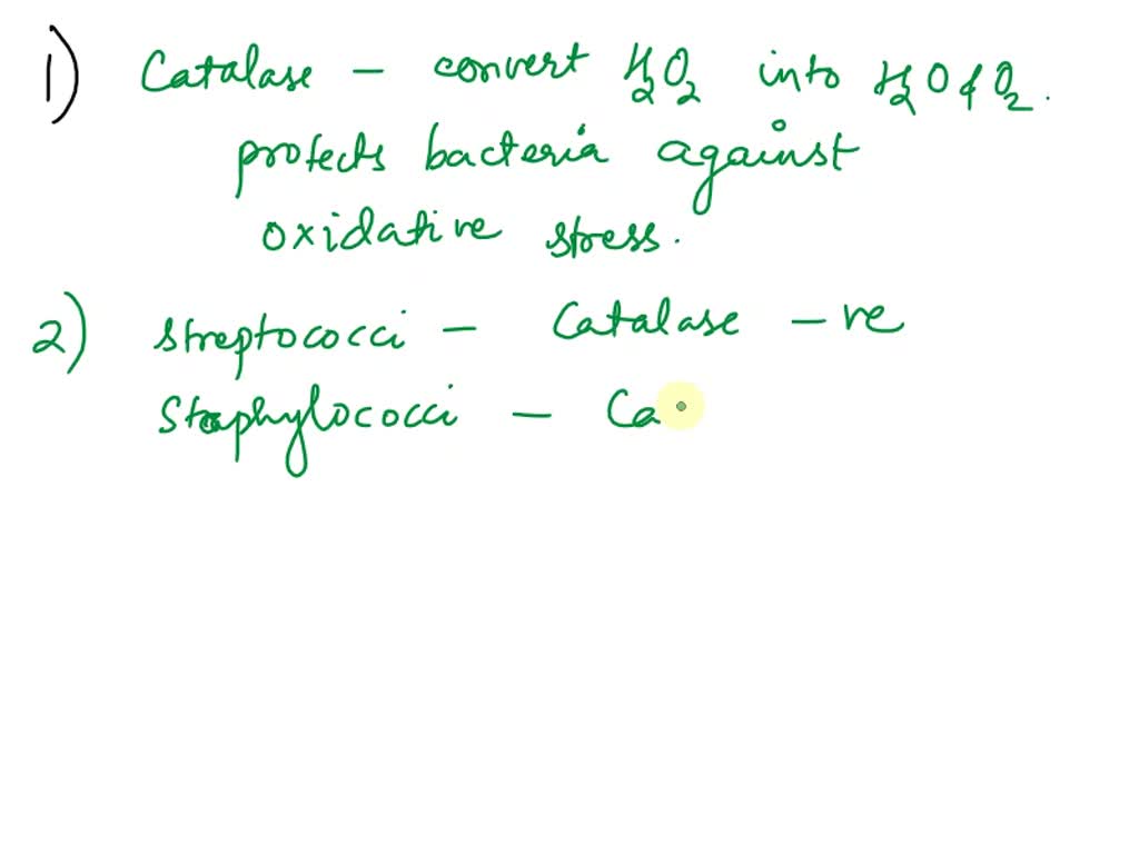 SOLVED: What is catalase and its function? 3. Why is catalase production an advantage for ...