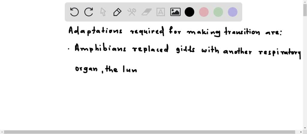 SOLVED: In 15 points discuss the form of adaptations required by the ...