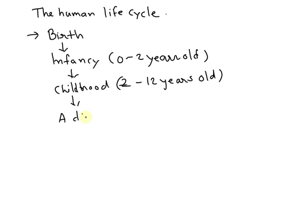 SOLVED: Describe the human life cycle.